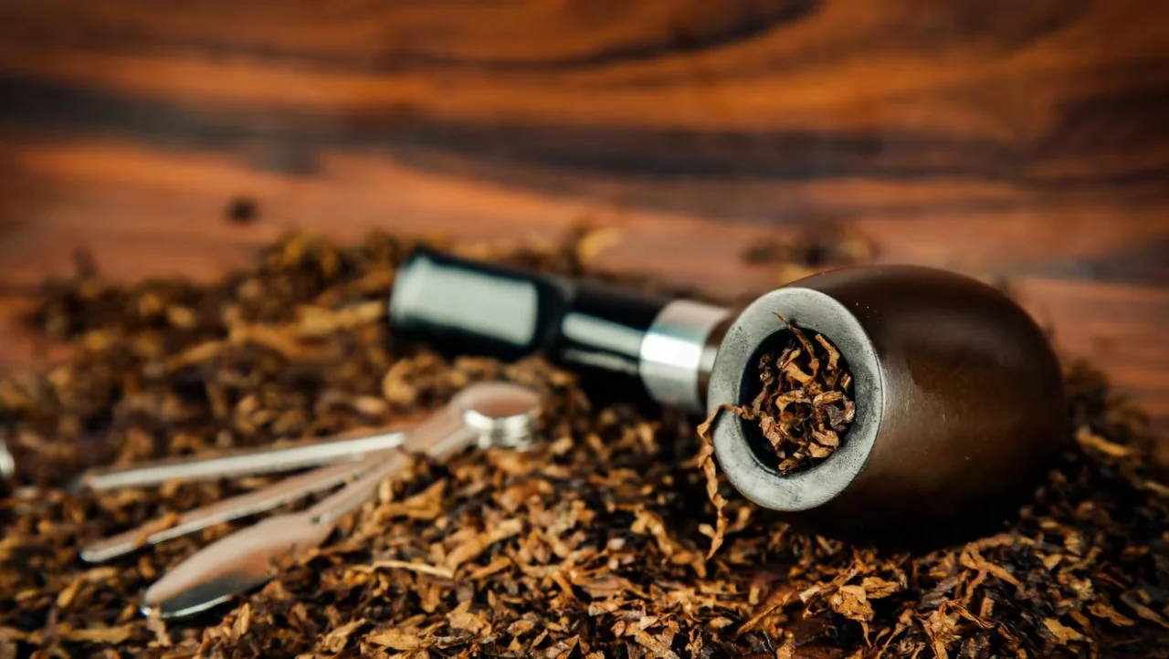 Grabba Tobacco: Uses, Benefits & Types - ZaGrabba